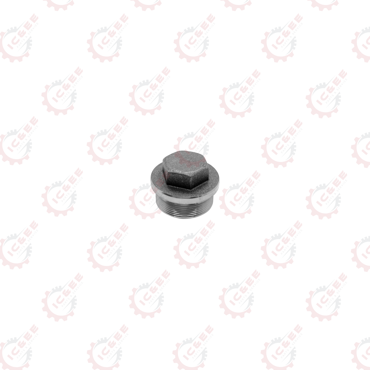 M42 DRAIN PLUG – IC&EE