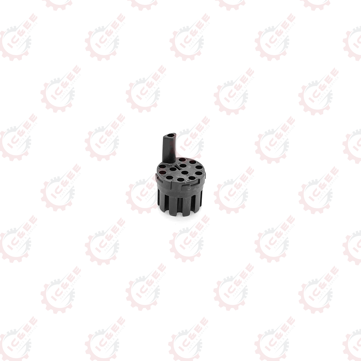 PLUG – IC&EE